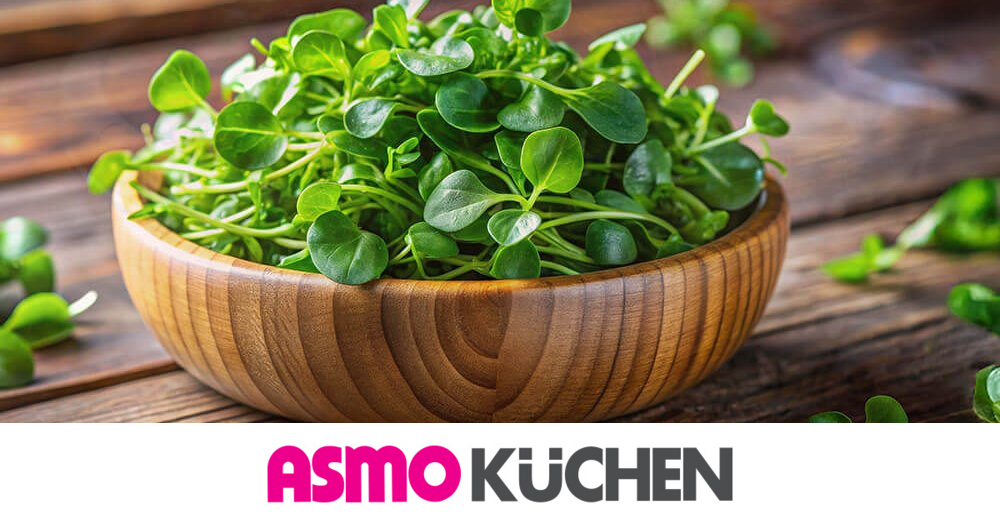 Brunnenkresse: Anbau, Rezepte & warum sie die gesündeste Pflanze ist
